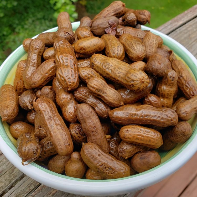 From The Norwalk Hour: Boiled Peanuts, Country Caviar of the South ...